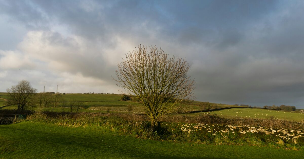 Agricultural Water Storage Tanks | Tricel Water UK